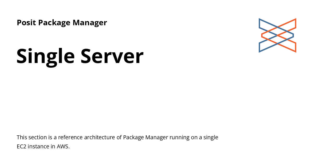Single Server - Posit Package Manager
